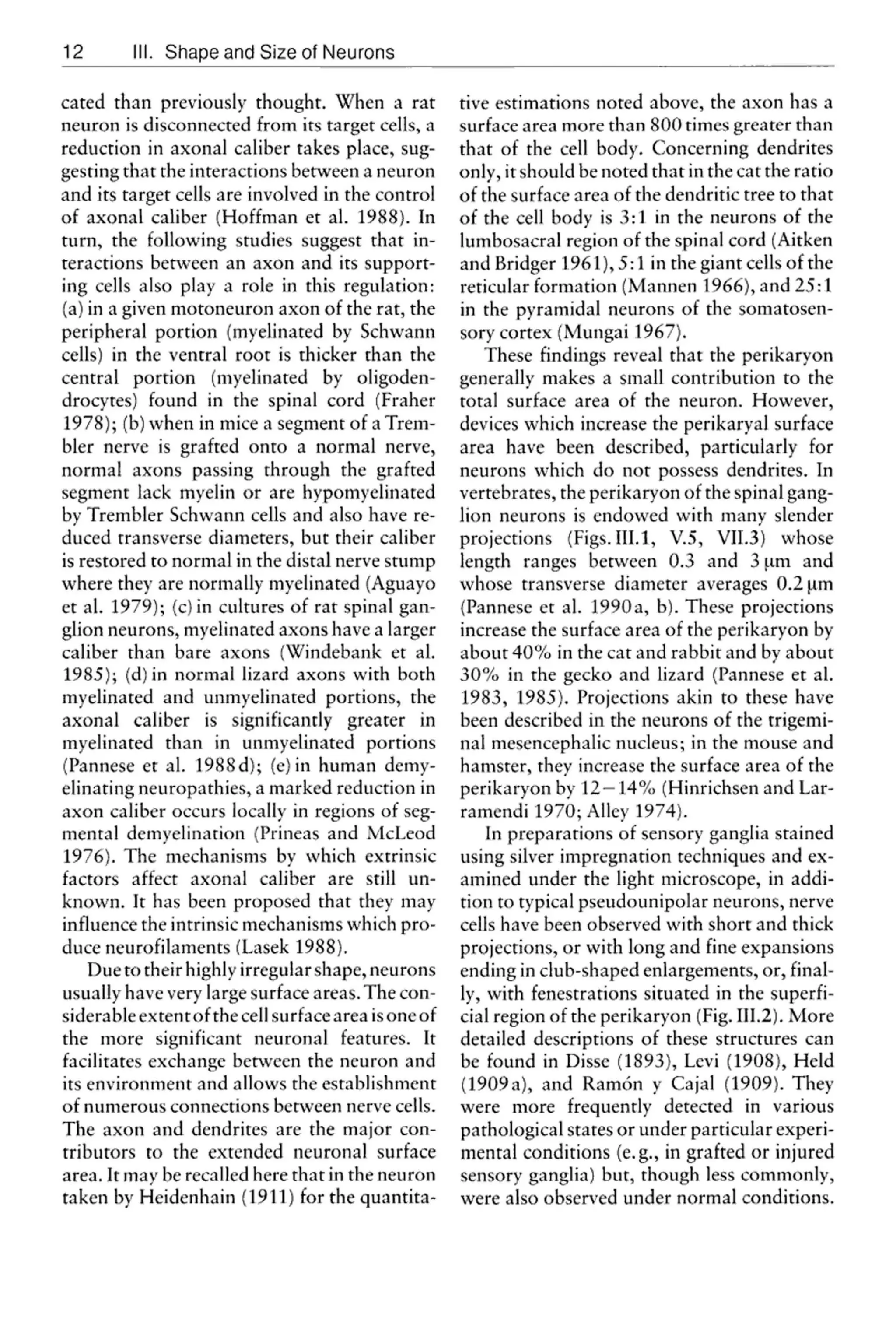 Neurocytology fine structure.... pannese, 1994 | PDF