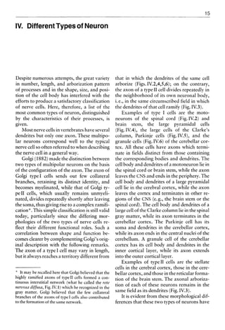 Neurocytology fine structure.... pannese, 1994 | PDF