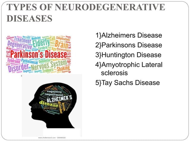Neurodegenerative diseases ppt | PPTX