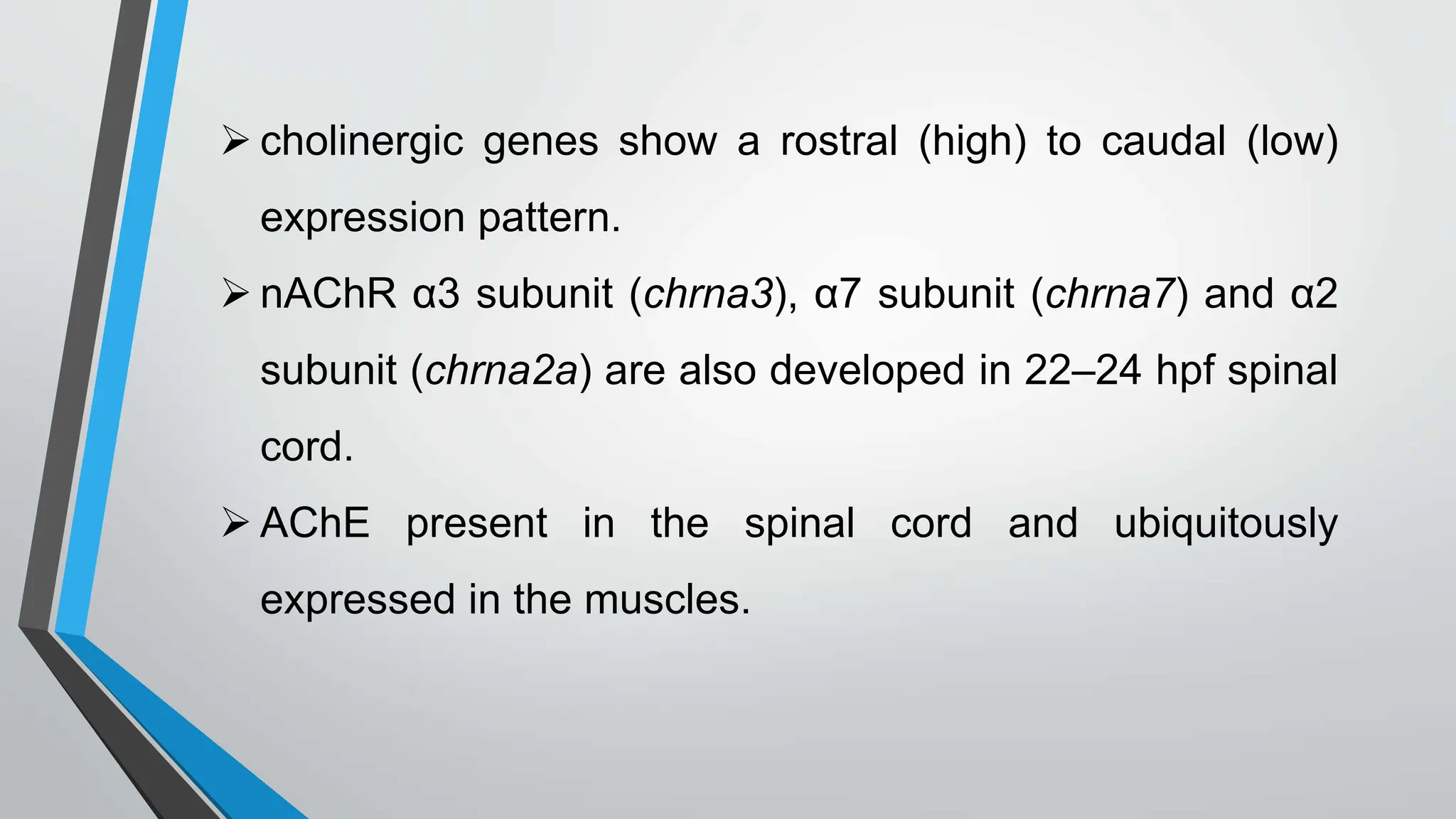 NEURODEGENERATIVE MODELS OF ZEBRAFISH (RAMAN).pptx