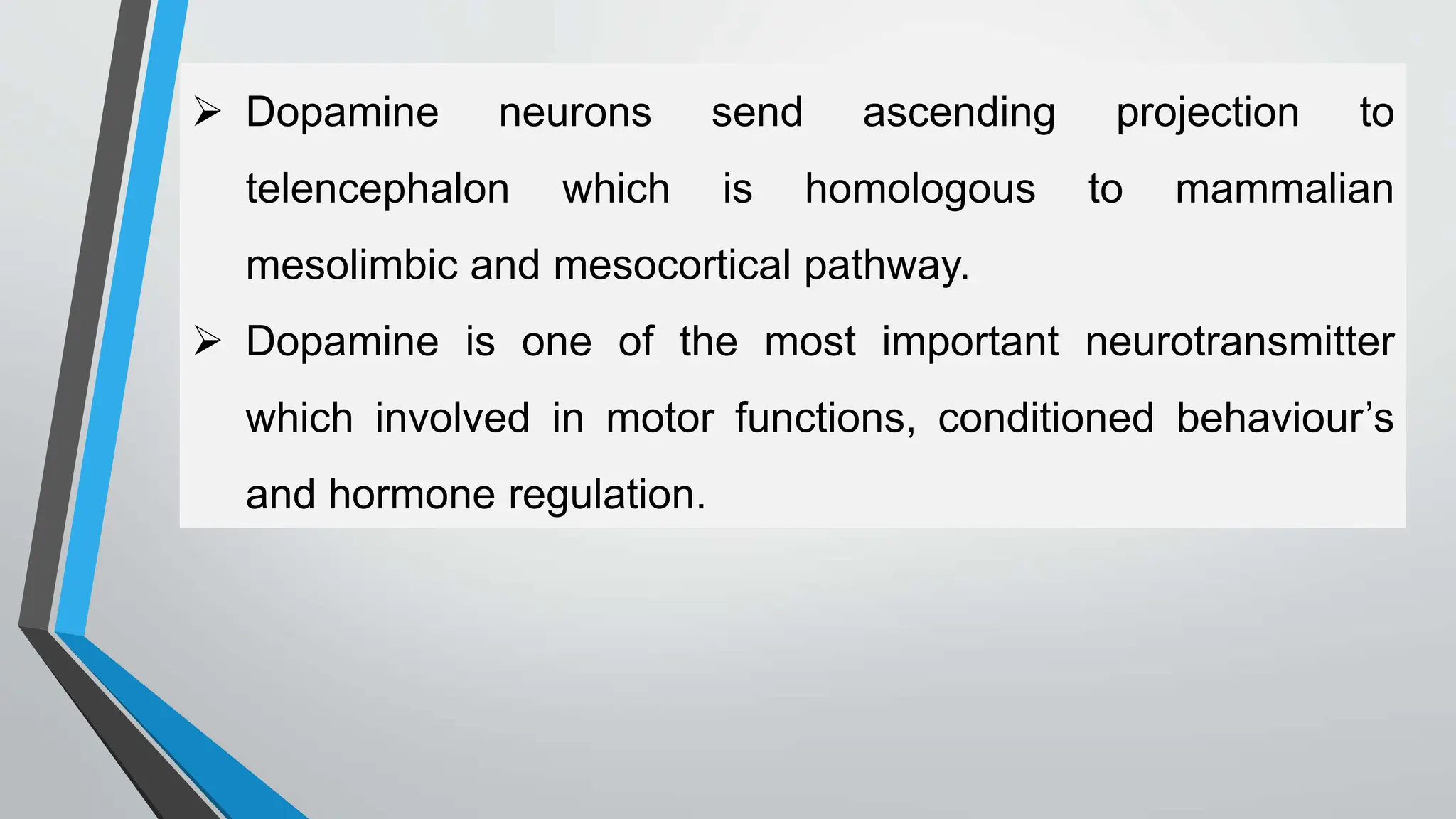 NEURODEGENERATIVE MODELS OF ZEBRAFISH (RAMAN).pptx