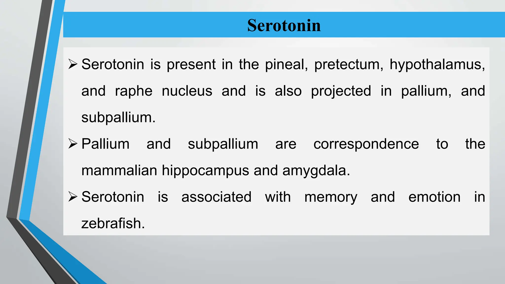 NEURODEGENERATIVE MODELS OF ZEBRAFISH (RAMAN).pptx