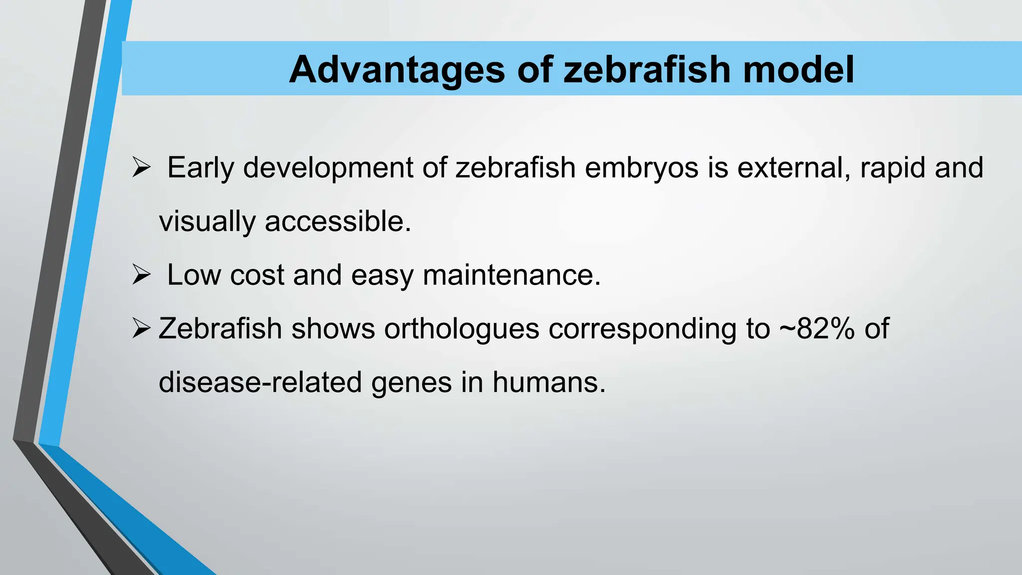 NEURODEGENERATIVE MODELS OF ZEBRAFISH (RAMAN).pptx
