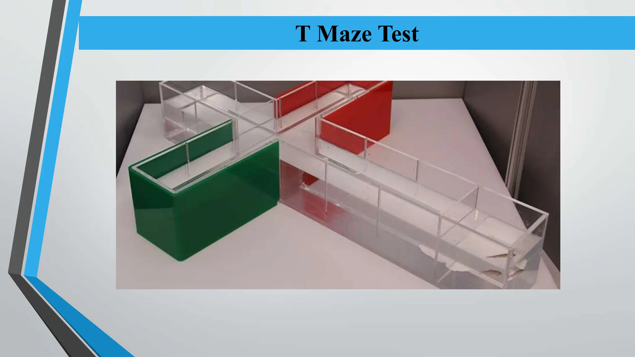 NEURODEGENERATIVE MODELS OF ZEBRAFISH (RAMAN).pptx
