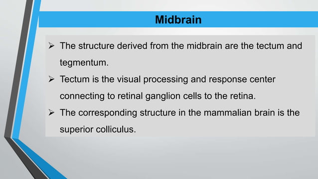NEURODEGENERATIVE MODELS OF ZEBRAFISH (RAMAN).pptx