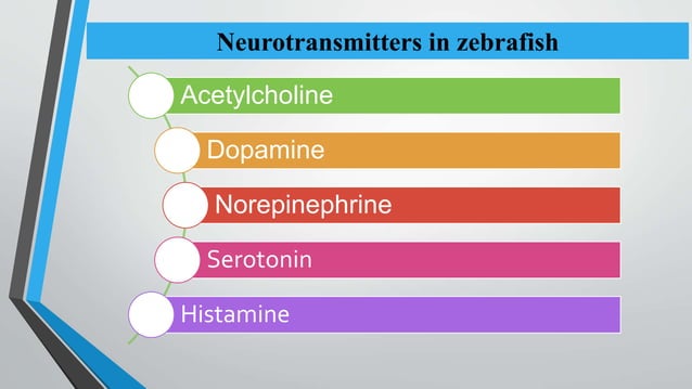 NEURODEGENERATIVE MODELS OF ZEBRAFISH (RAMAN).pptx