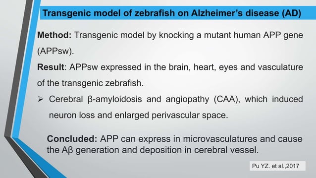NEURODEGENERATIVE MODELS OF ZEBRAFISH (RAMAN).pptx