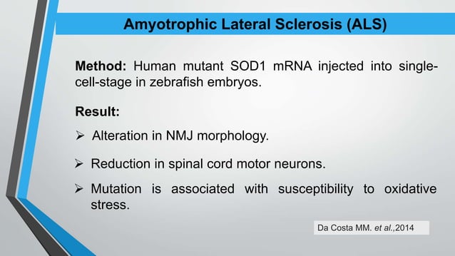 NEURODEGENERATIVE MODELS OF ZEBRAFISH (RAMAN).pptx