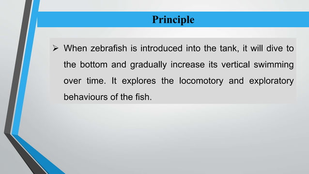 NEURODEGENERATIVE MODELS OF ZEBRAFISH (RAMAN).pptx
