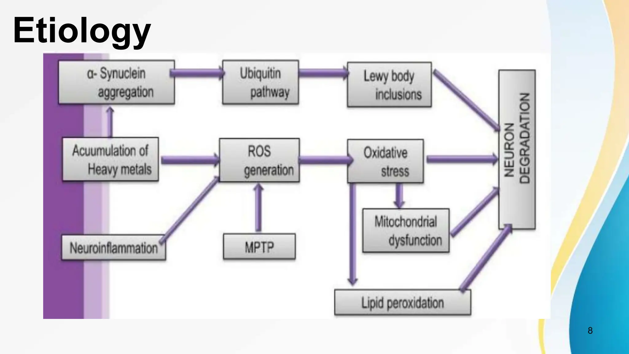IN-VIVO SCREENING METHODS FOR NEURODEGENERATIVE DISEASE.pptx
