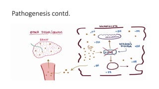 Neurodegerative disorder -a hidden cause of developmental delaypptx | PPTX