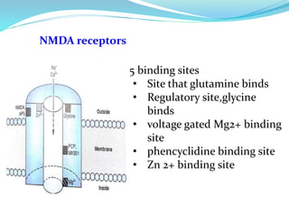Neuroden. diseases | PPTX