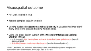 Neurodevelopment after perinatal arterial ischemic stroke (PAIS) | PPT