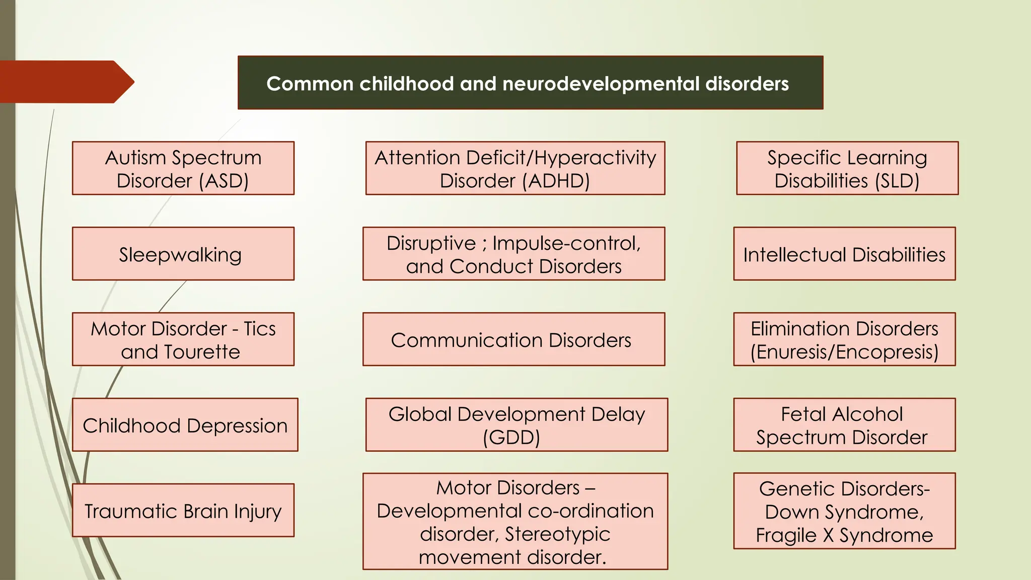 Neurodevelopmental Disorders and other childhood disorders.pptx