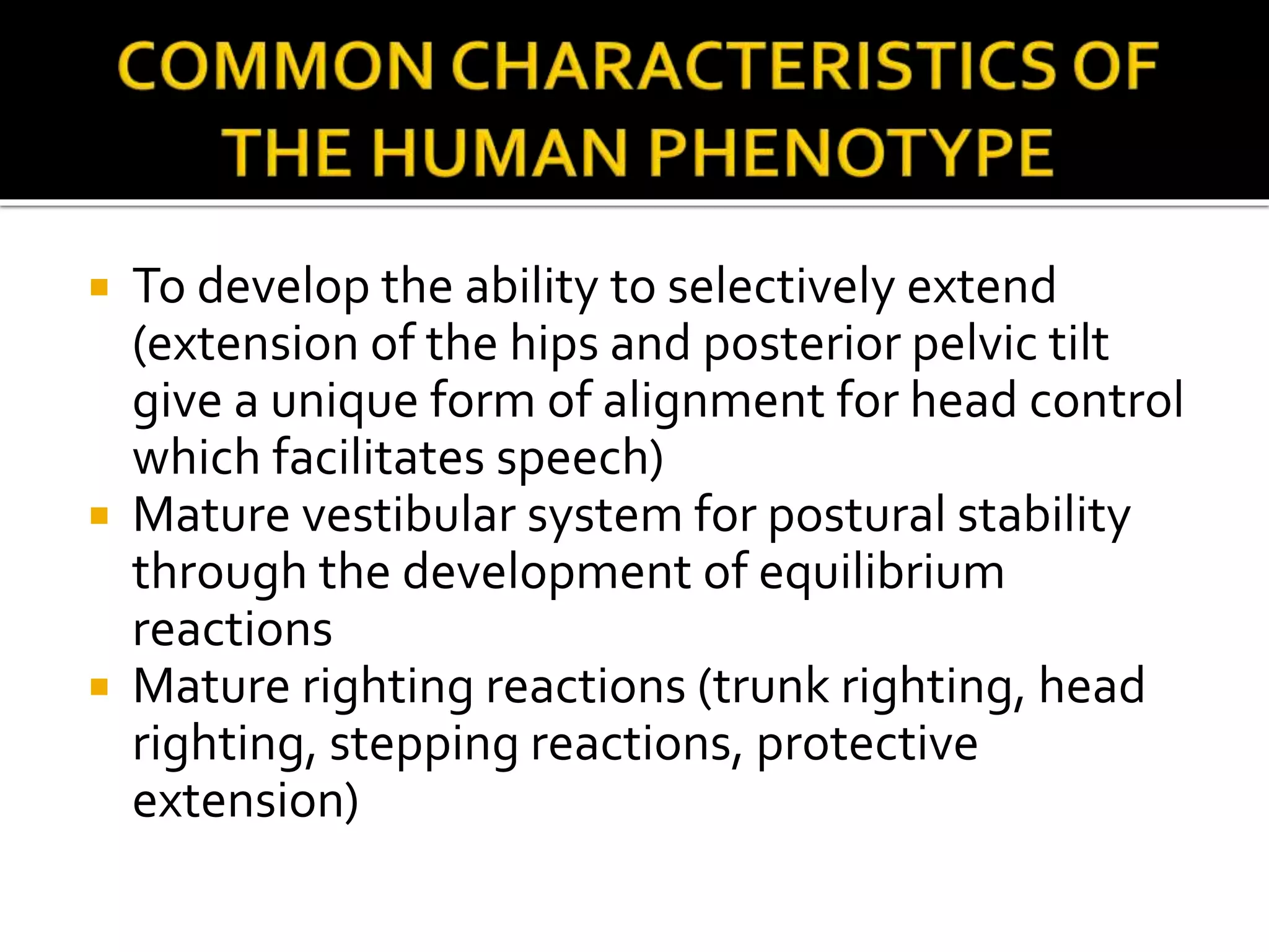 Neuro developmental therapy | PPTX