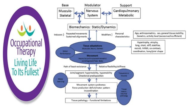 Neurodevelopmental Treatment | PPTX
