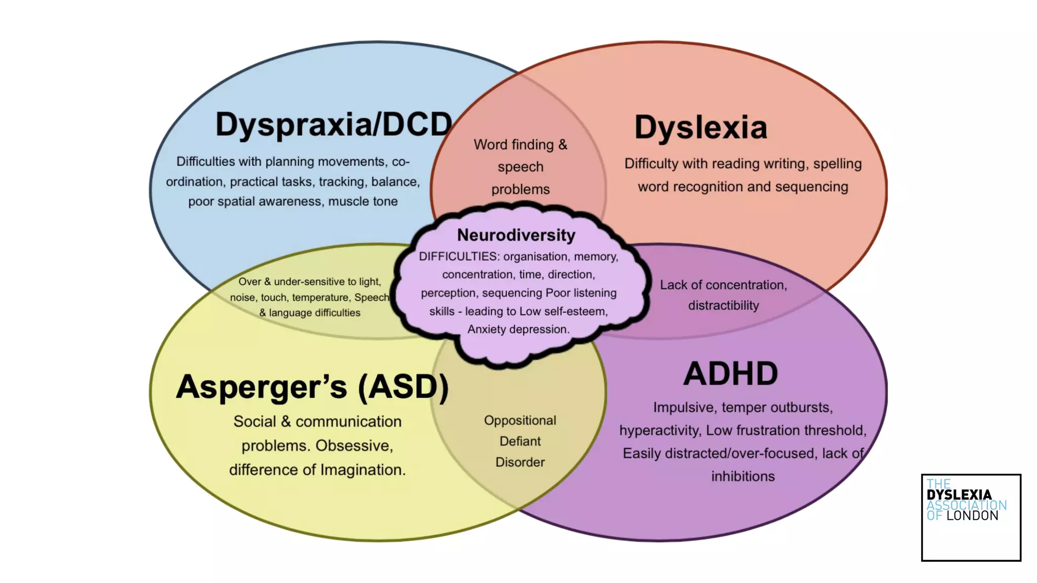 What is Neurodiversity? | PDF