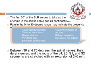 Neurodynamics Mobility and Mobilizations | PPTX