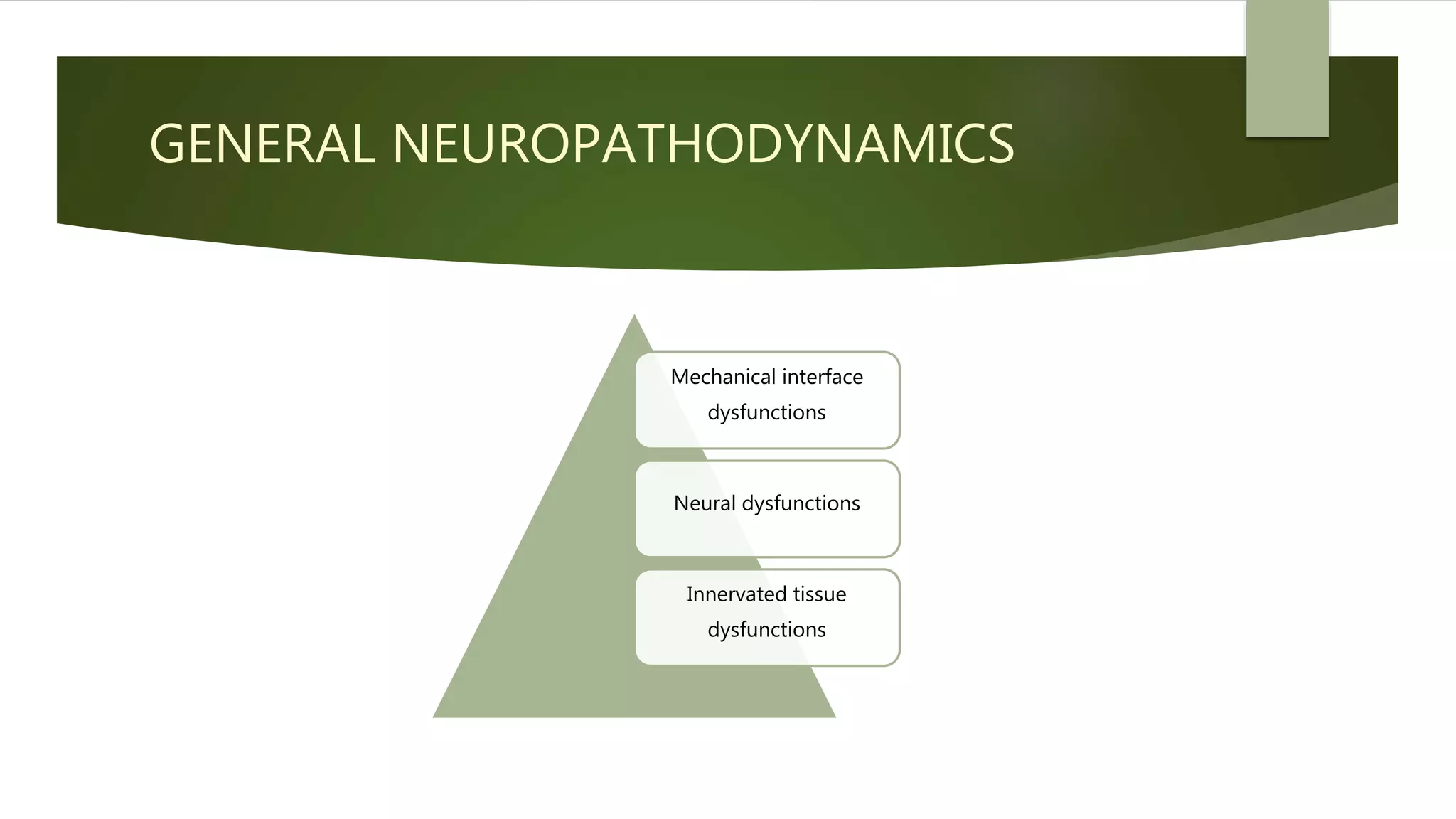 Neurodynamics | PPTX