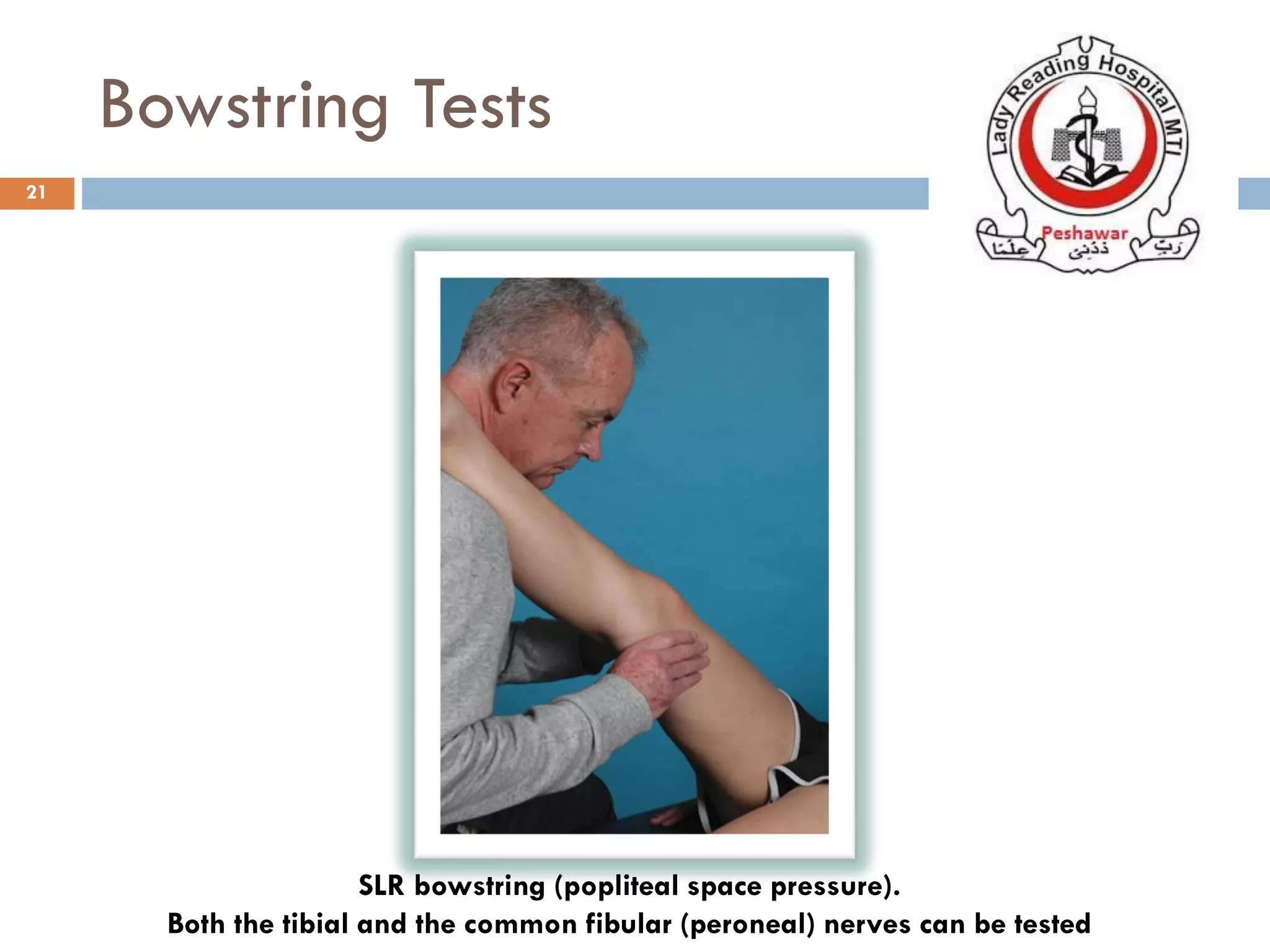 Neurodynamics & Mobilization of Lower Limbs | PDF