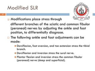 Neurodynamics & Mobilization of Lower Limbs | PDF