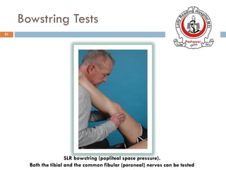 Neurodynamics & Mobilization of Lower Limbs | PDF