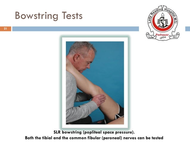 Neurodynamics & Mobilization of Lower Limbs | PDF