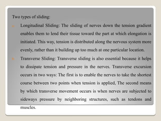Neurodynamics- I | PDF