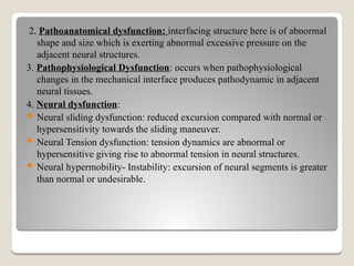 Neurodynamics- I | PDF