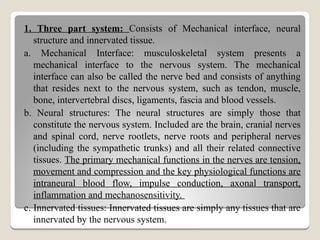 Neurodynamics- I | PDF