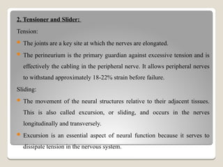 Neurodynamics- I | PDF