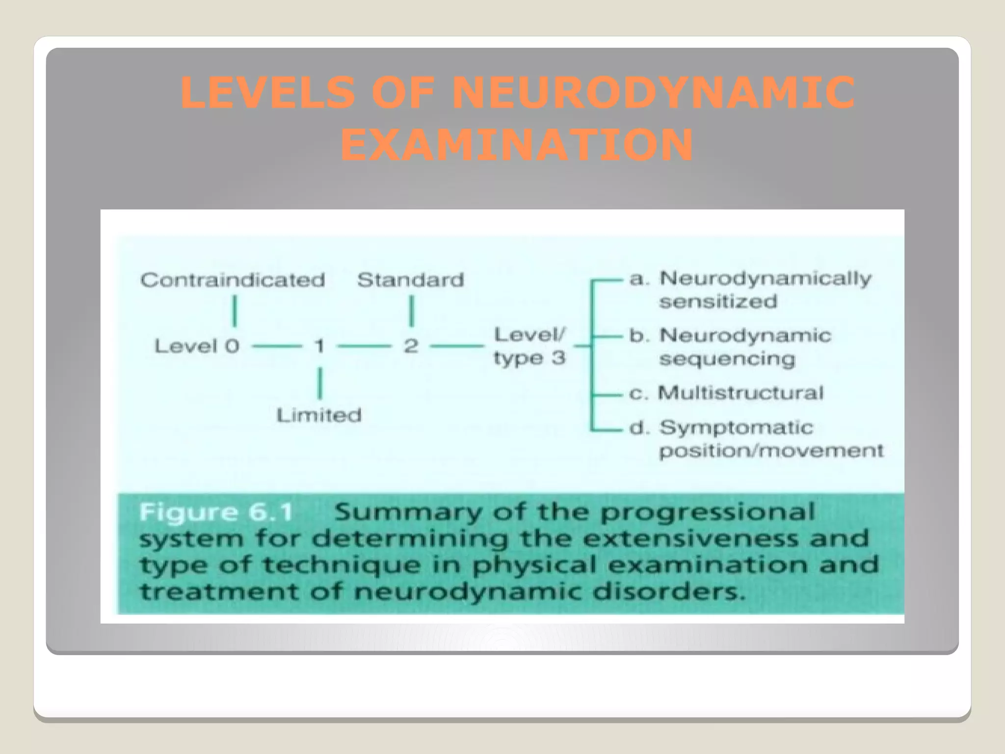 Neurodynamics-II | PDF