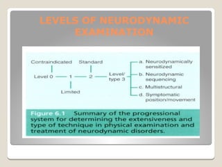 Neurodynamics-II | PDF