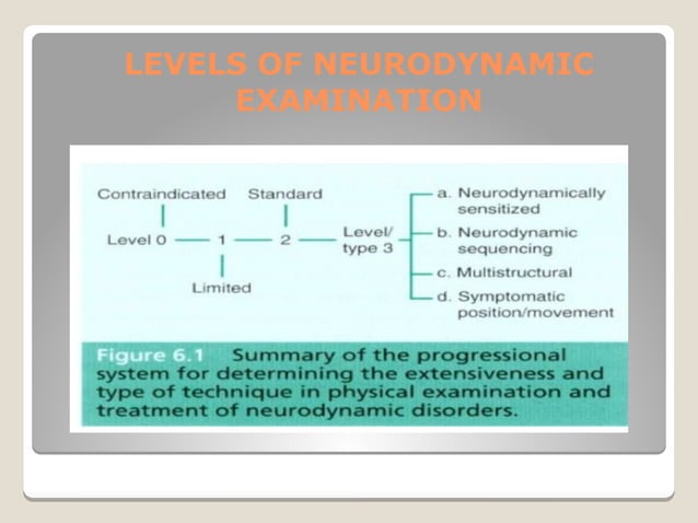Neurodynamics-II | PDF