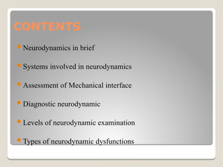 Neurodynamics-II | PDF