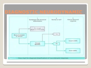 Neurodynamics-II | PDF