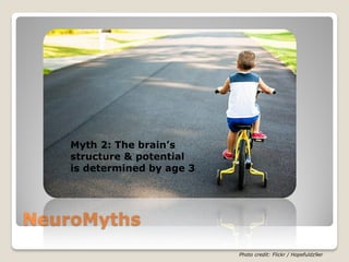 NeuroEducation: Myths and Facts | PDF