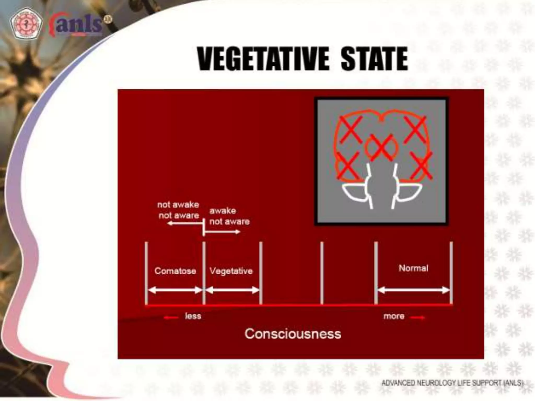 Neuro-emergency | PDF