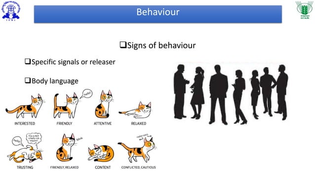 Neuro-endocrine basis of Behavioural Disorders in Farm Animals | PPT