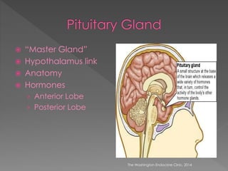 Neuroendocrine dysfunction following traumatic brain injury | PPTX