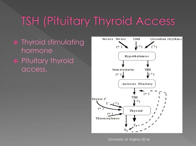 Neuroendocrine dysfunction following traumatic brain injury | PPT