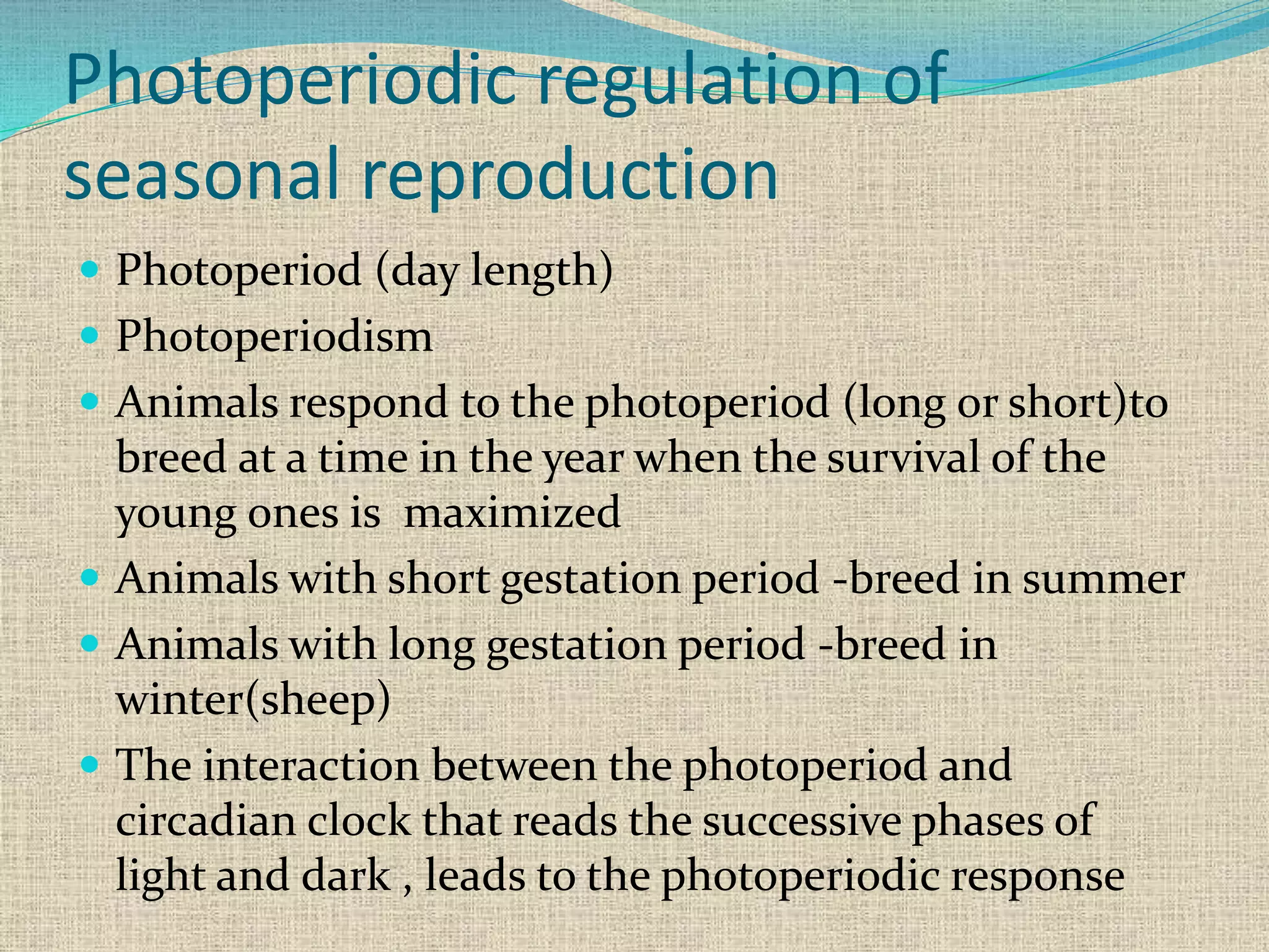 Neuroendocrine mechanism of behaviour in domestic animals | PPTX
