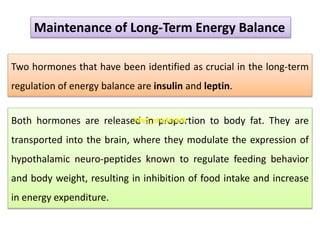 Neuroendocrine regulation of energy | PPTX
