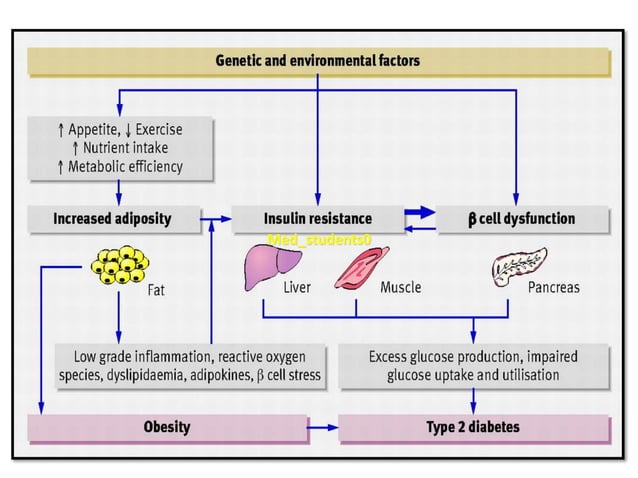 Neuroendocrine regulation of energy | PPTX | Endocrine and Metabolic ...