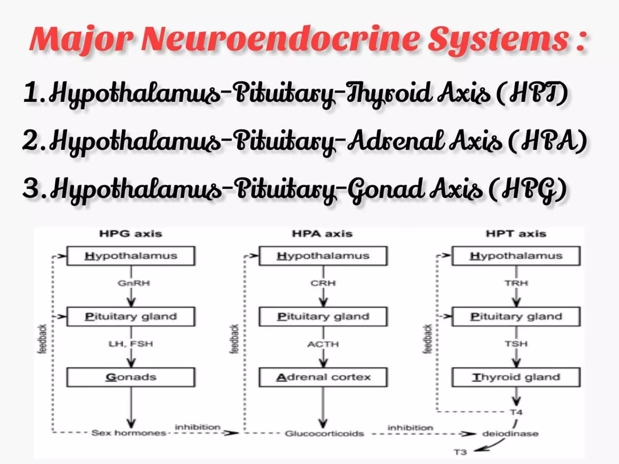 Neuroendocrine system and Neurosecretion | PPTX