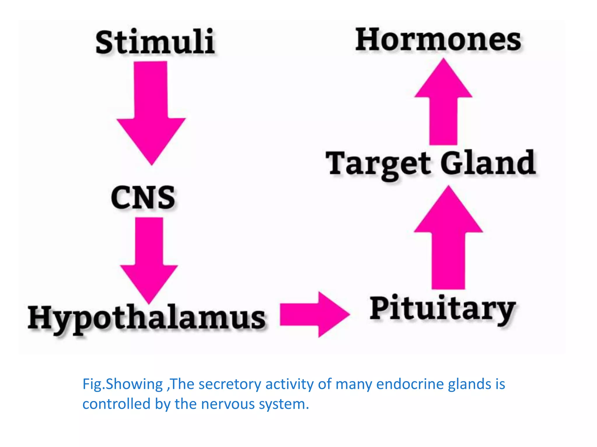 Neuroendocrine system and Neurosecretion | PPTX