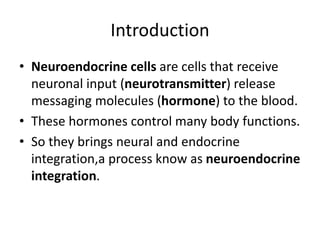 gastrointestinal Neuro endocrine tumors , GIT NET | PPTX