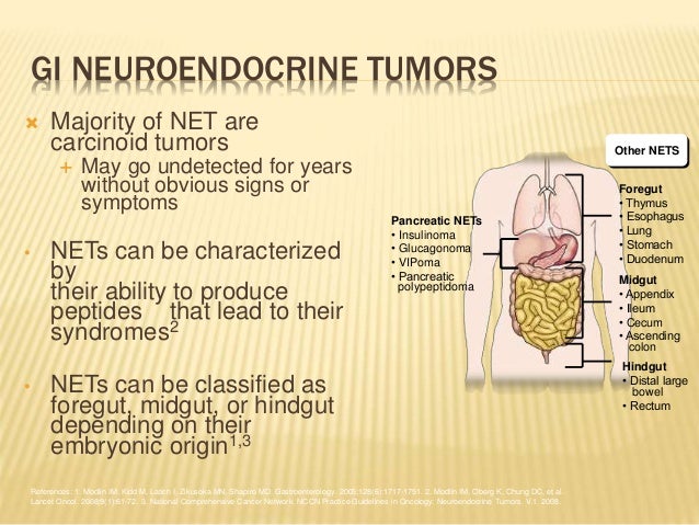Understanding GEP NET Cancer
