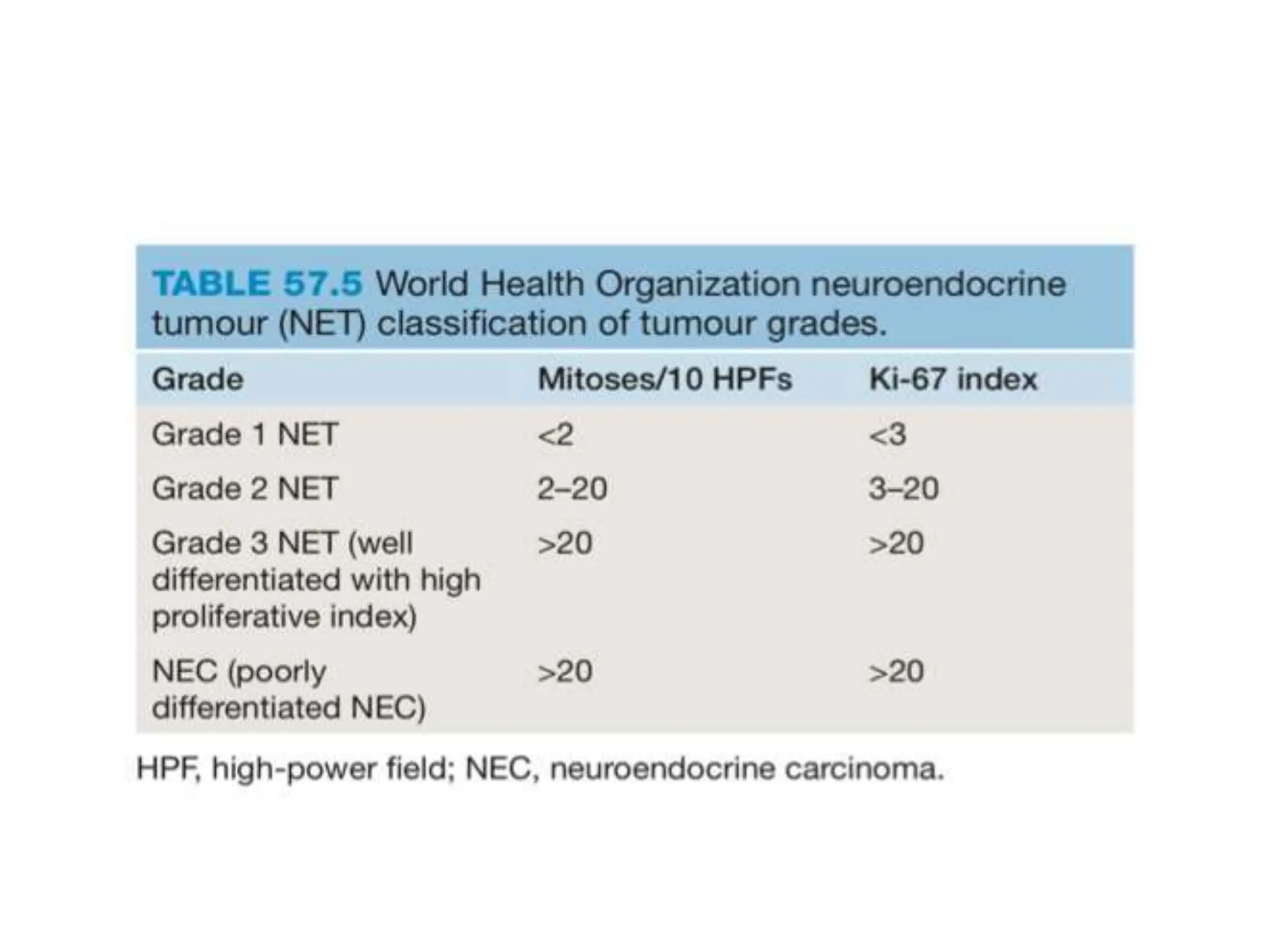 NEUROENDOCRINE TUMORS OF GIT-1 neuro endo | PPTX