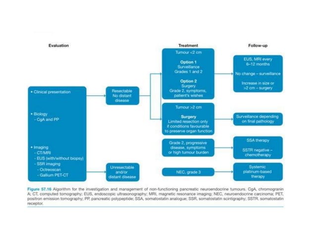 NEUROENDOCRINE TUMORS OF GIT-1 neuro endo | PPTX